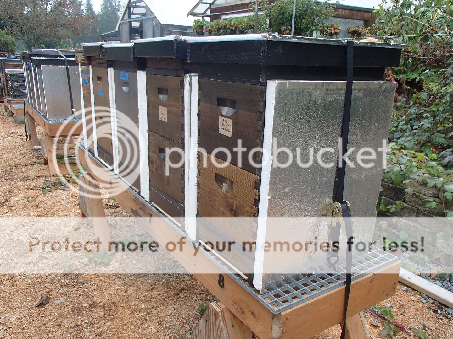 Bee Trailer | Beesource Beekeeping Forums